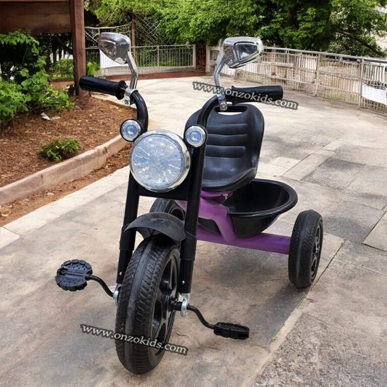 Tricycle Vélo bébé Audrey
